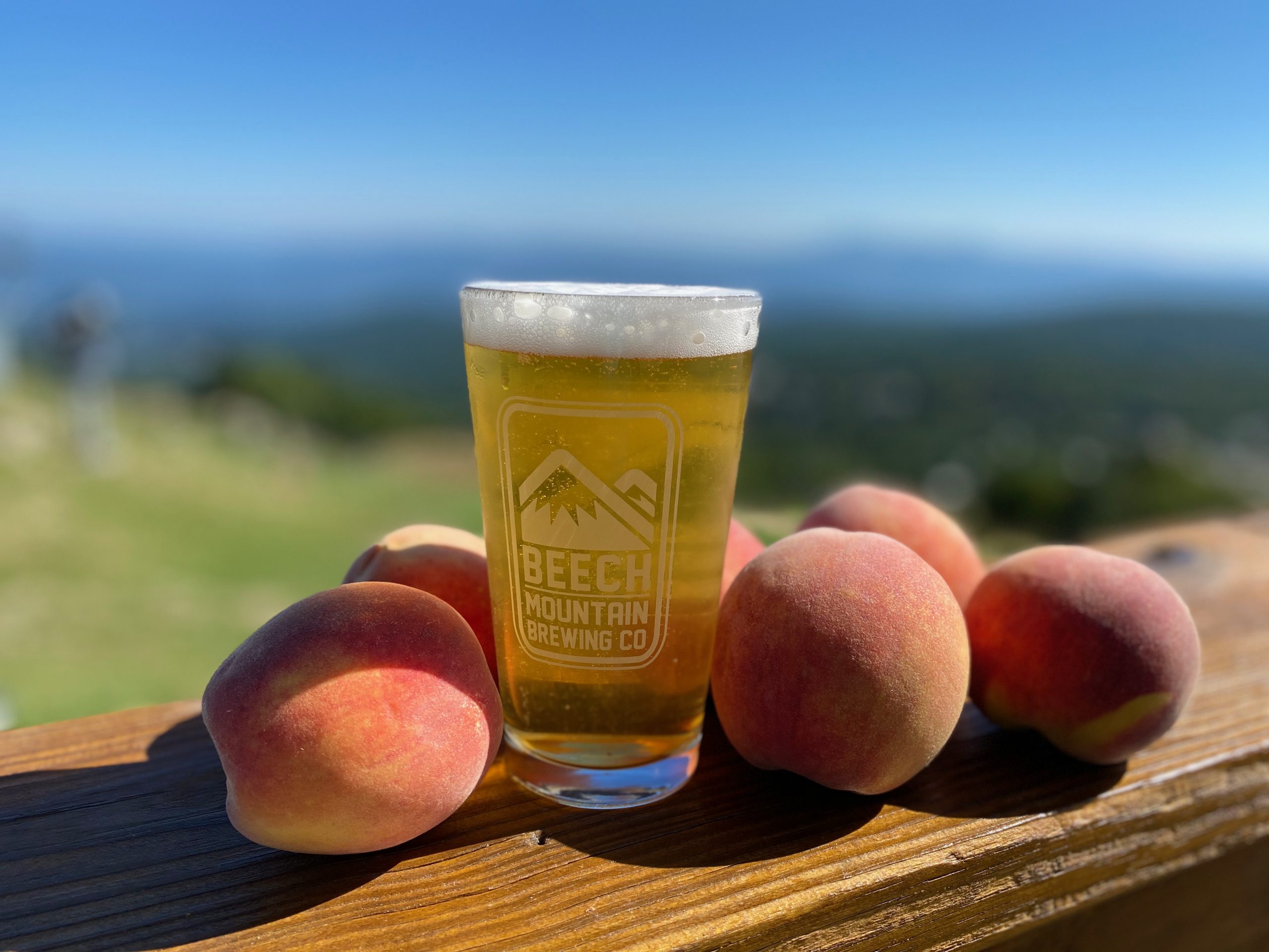 Small Batch Release:Peach & Apricot Brett Ale - Beech Mountain Brewing Co